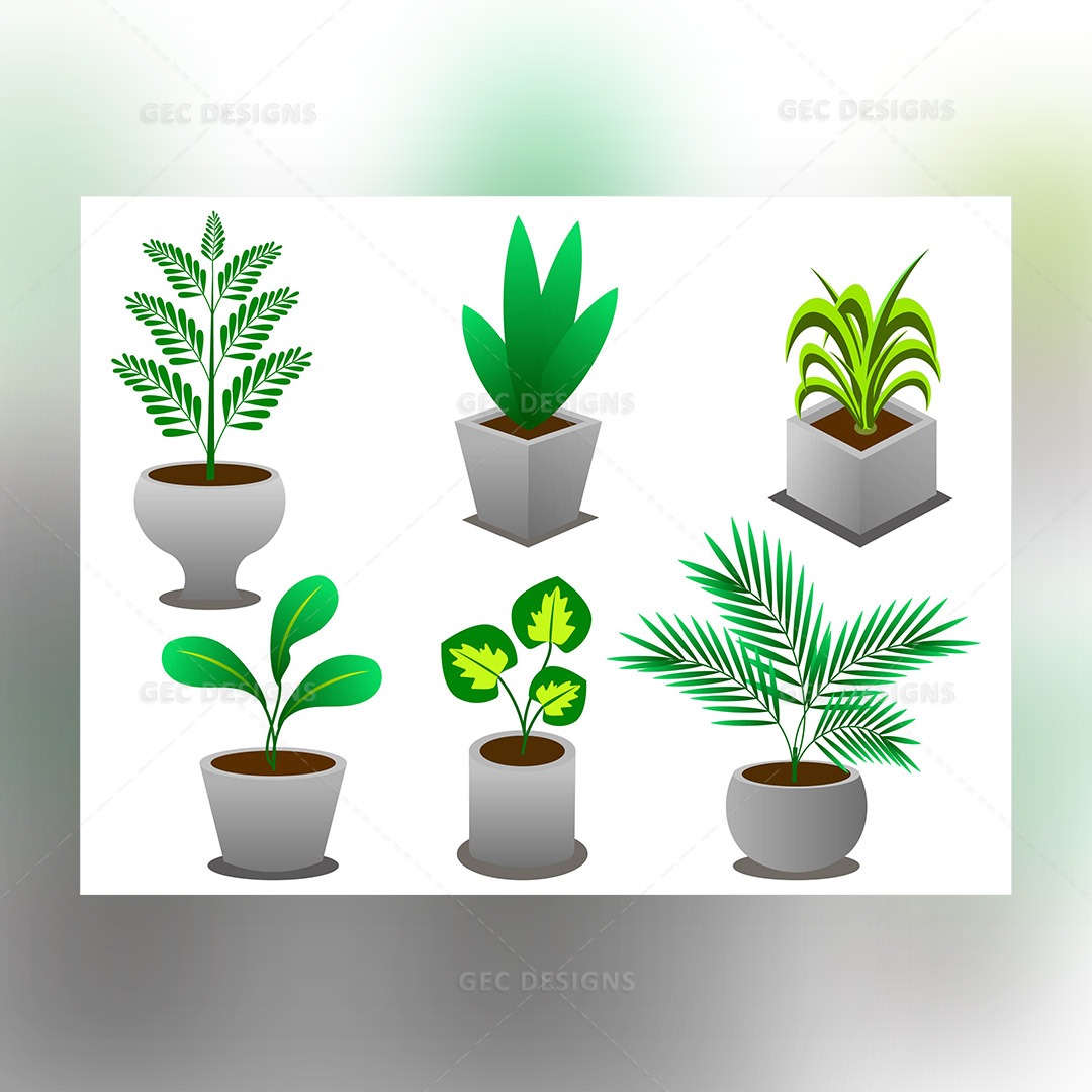 Set of Indoor potted plants vector image #001 | GEC Designs
