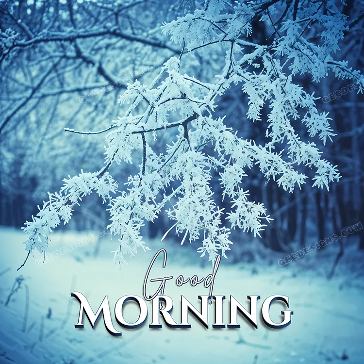 Good Morning Beautiful Winter Wallpapers Good Morning From #kyrgyzstan