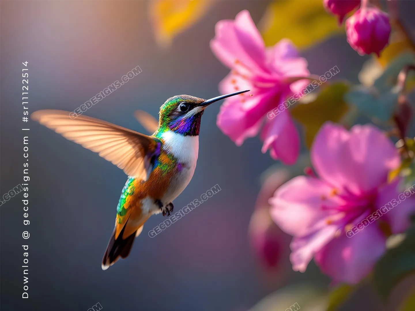 Beautiful Hummingbird Hovering Near Blooming Pink Flowers in a Gentle ...