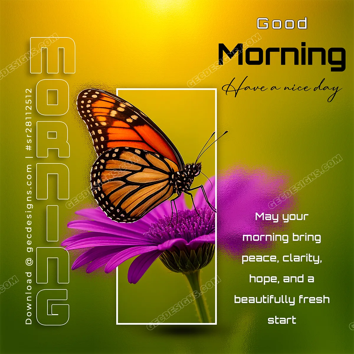 Bright and uplifting Good Morning image with butterfly and flower for ...