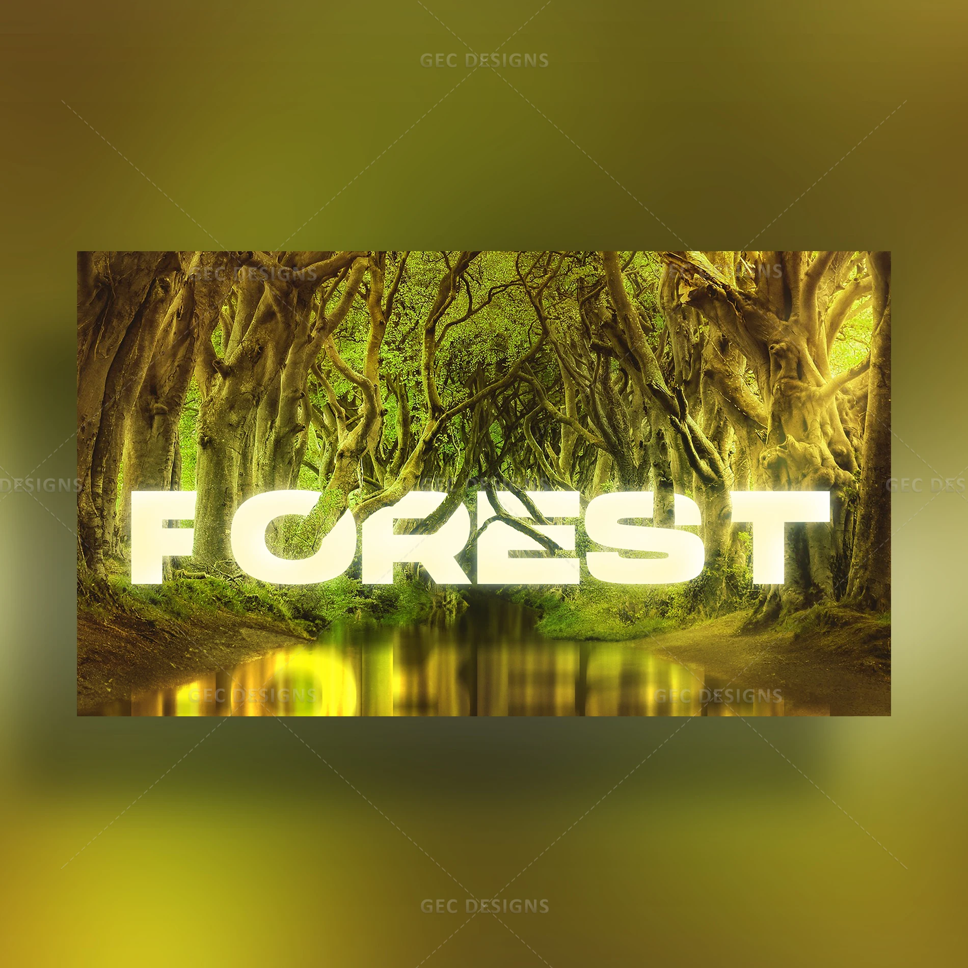 Enchanted forest background with glowing text forest wallpaper | GEC ...