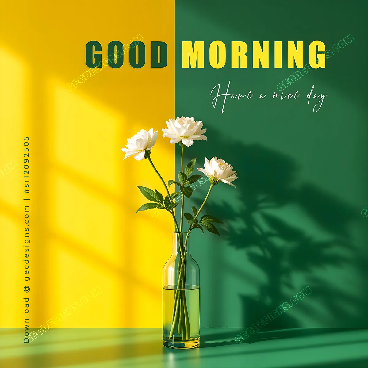 Fresh Good Morning Wishes with White Flowers in a Vase and Colorful ...