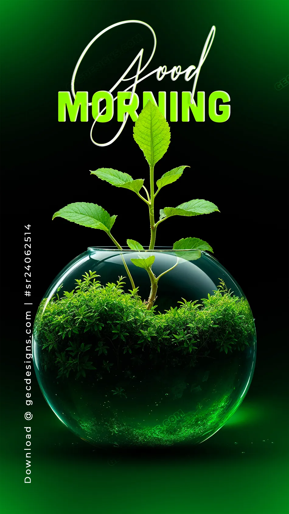 Good Morning Eco Plant Image, Green Terrarium Growth Theme - GEC Designs
