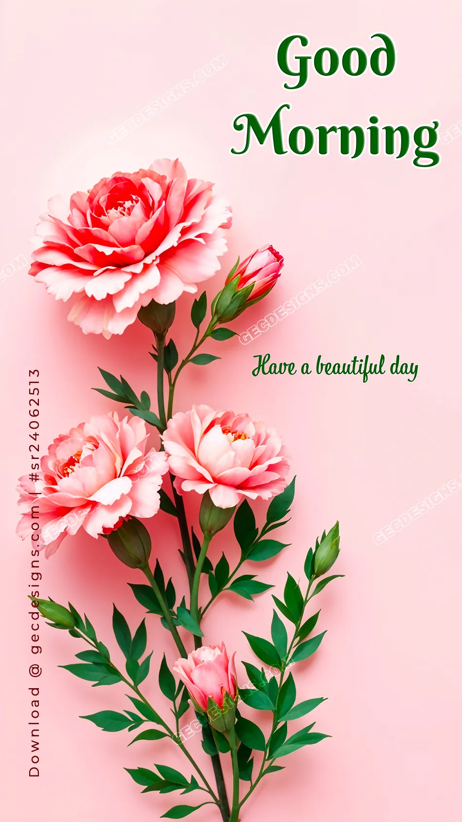 Beautiful Good Morning Pink