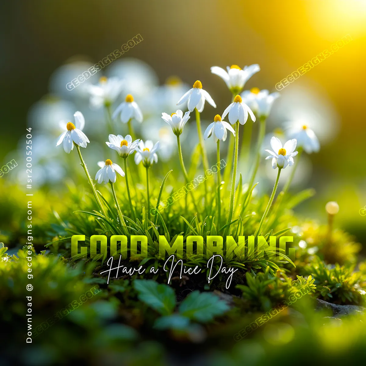 Good Morning, have a nice day with nature - GEC Designs