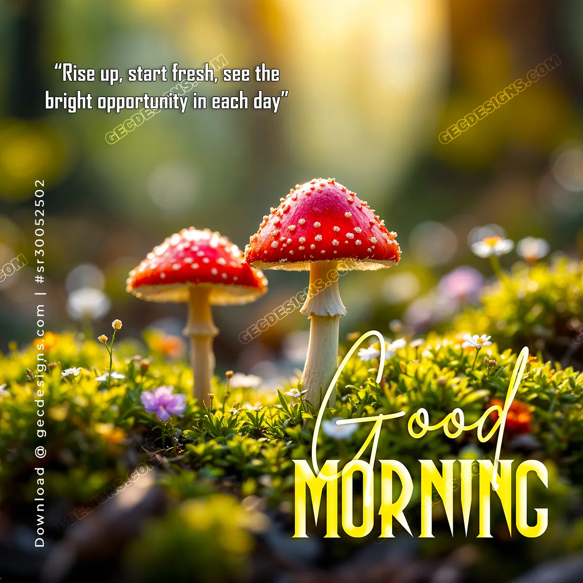 Good Morning Images - GEC Designs