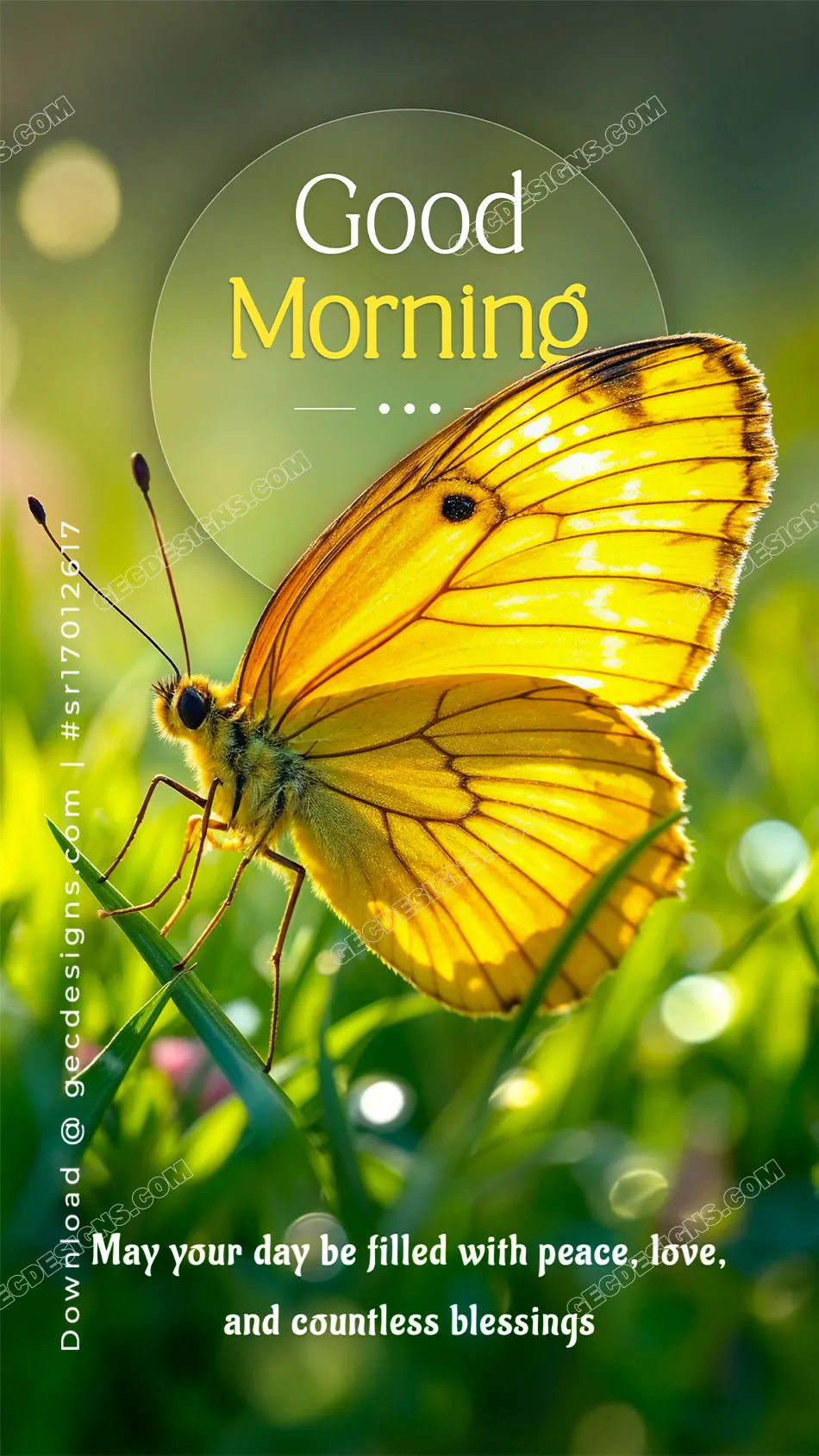 Good Morning Image with Bright Yellow Butterfly and a Peaceful Nature ...