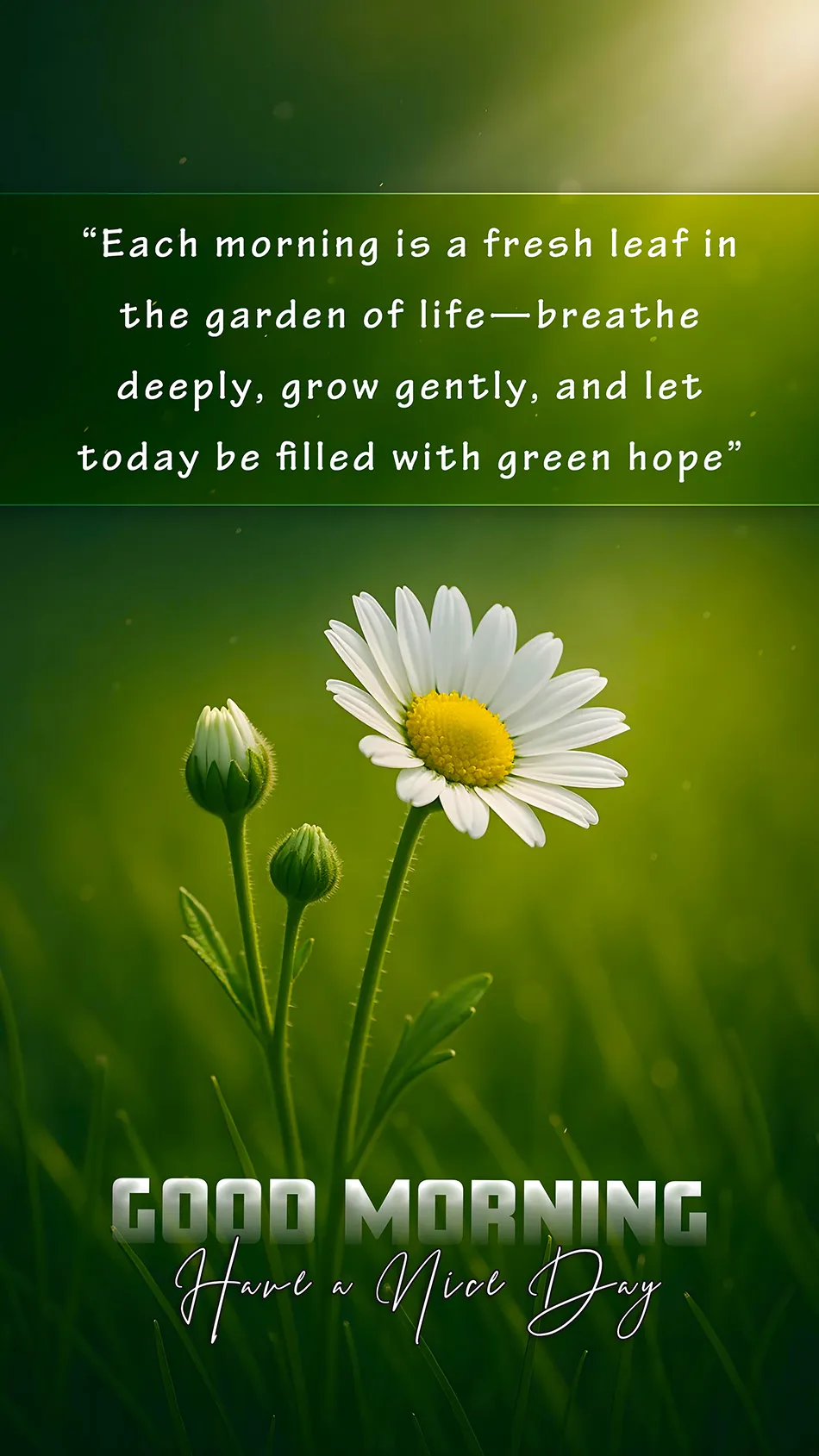 Good Morning Image with Green Nature and Daisy Flower for Peaceful ...