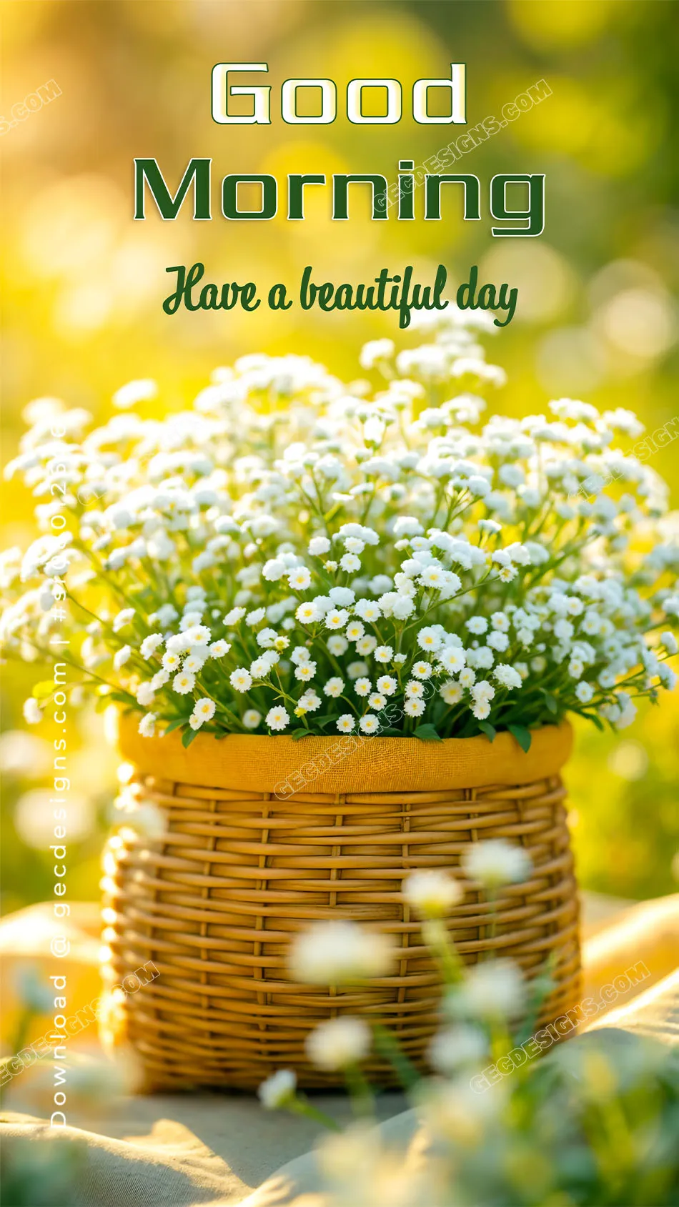 Good Morning Image with White Flowers in a Basket and Soft Golden Light ...