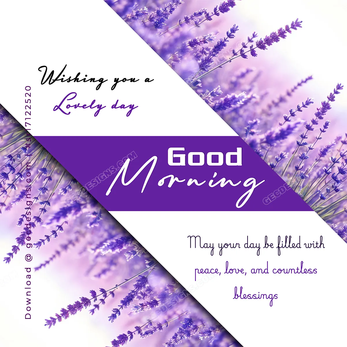 Good morning images with lavender flowers and soft purple tones for ...