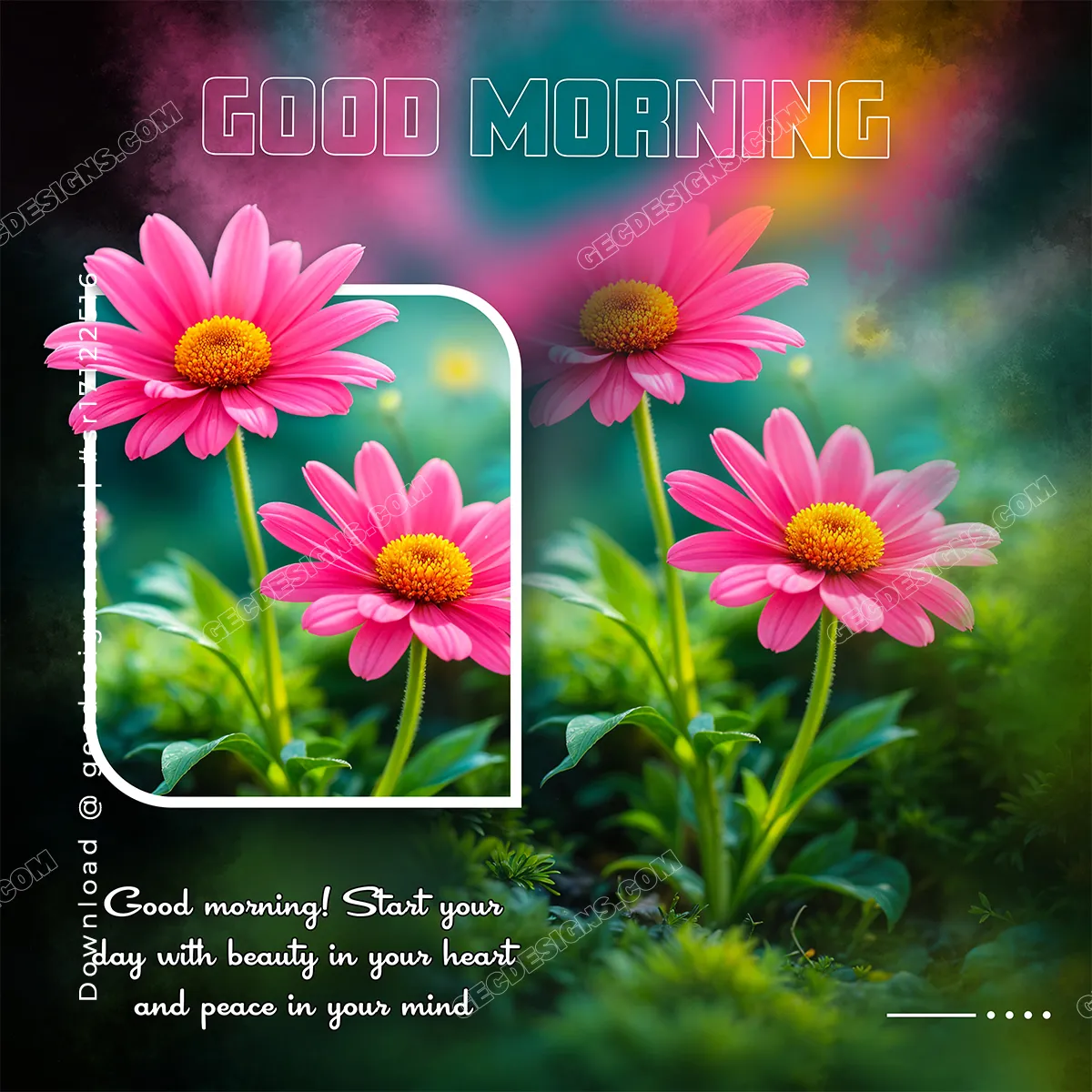 Good Morning Image with Dew-Kissed Yellow Rose, Elegant Floral Greeting ...