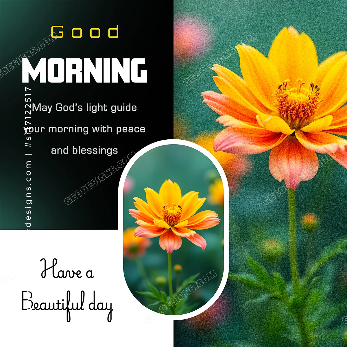 Good Morning Image with Dew-Kissed Yellow Rose, Elegant Floral Greeting ...