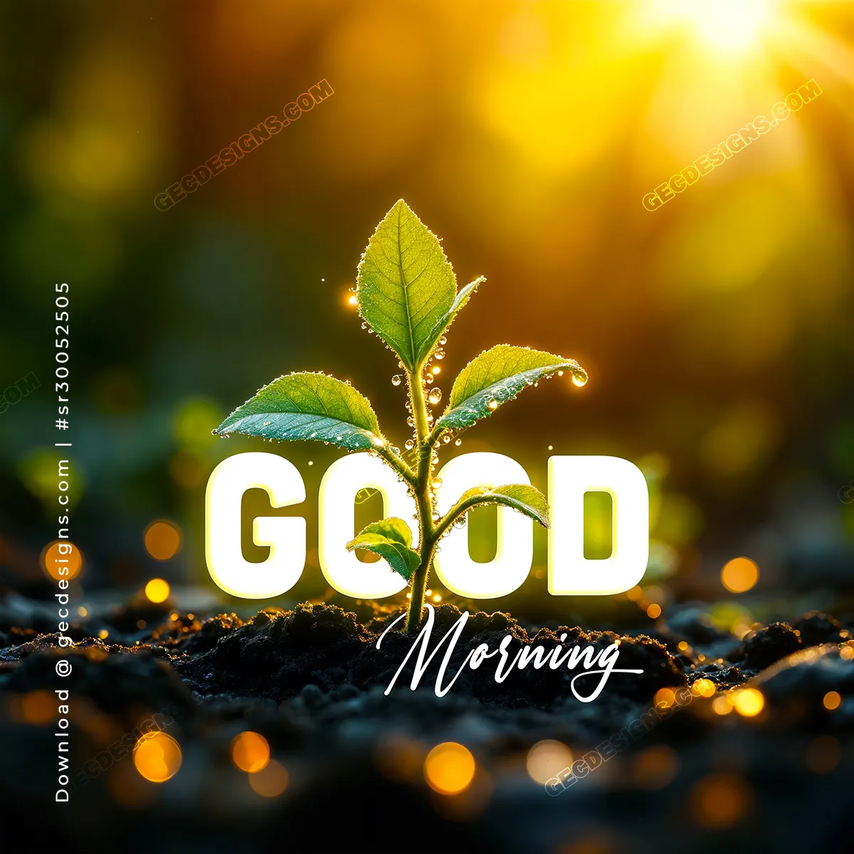 Good Morning Images - GEC Designs