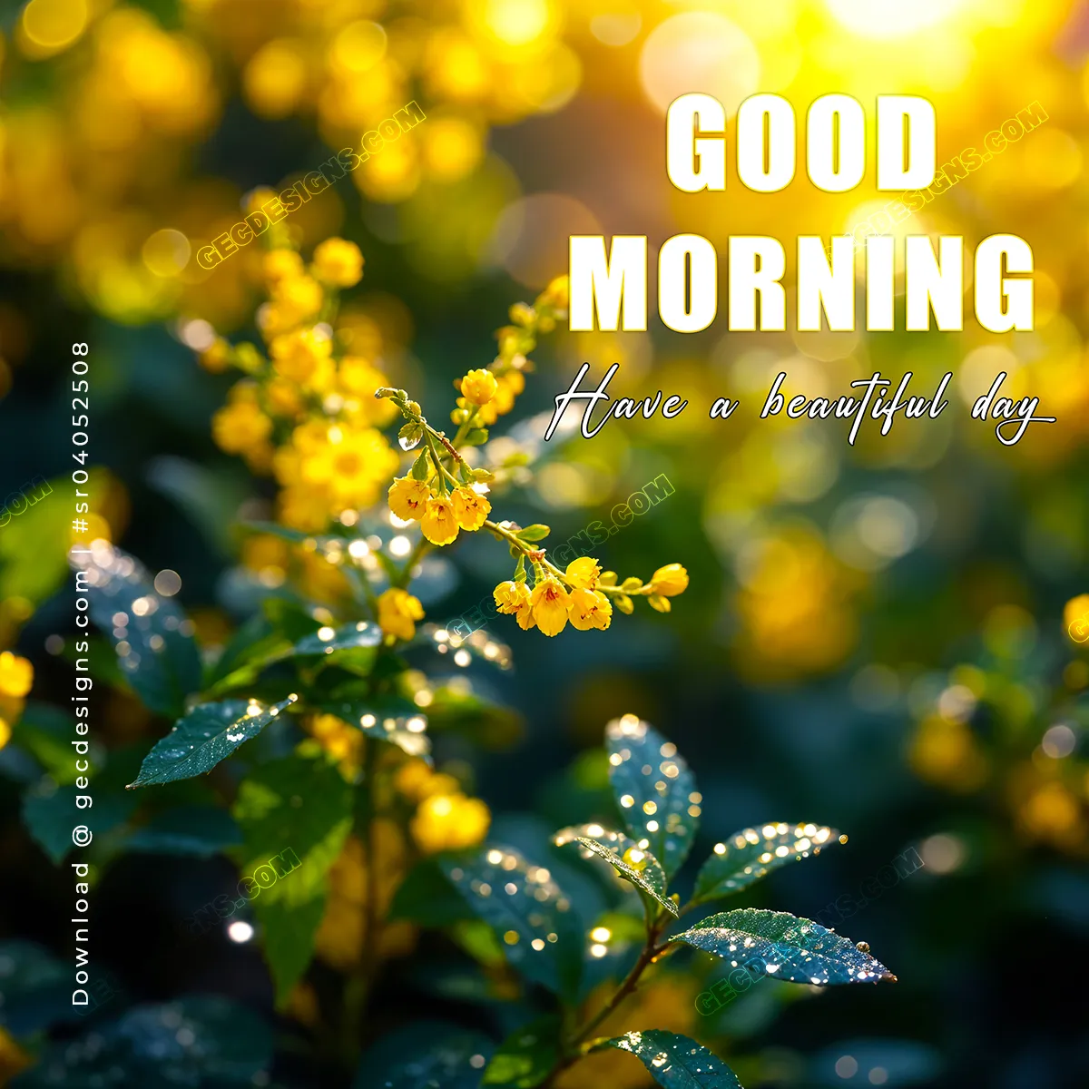 Good Morning wishes with dew on plants' Nature background - GEC Designs