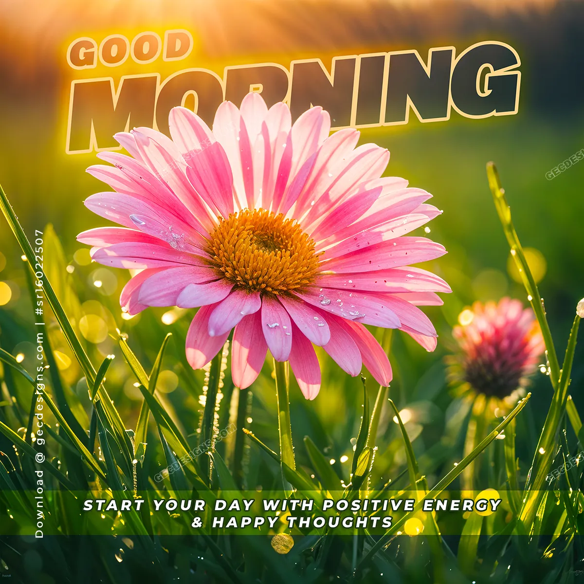 154+ Happy Morning Images | Free Download - GEC Designs