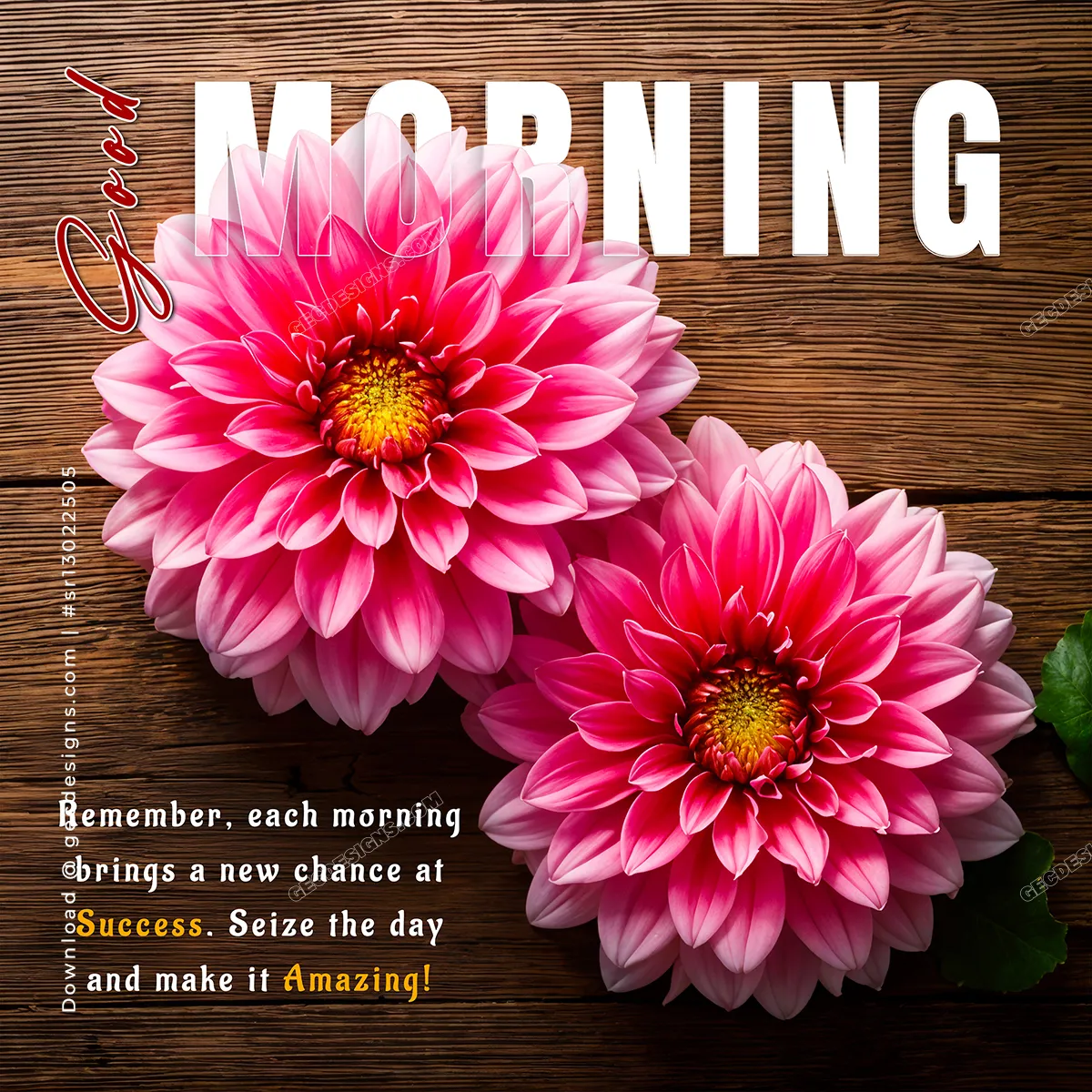 Images Of Flowers Good Morning 1075+] Good Morning Images, Pics,