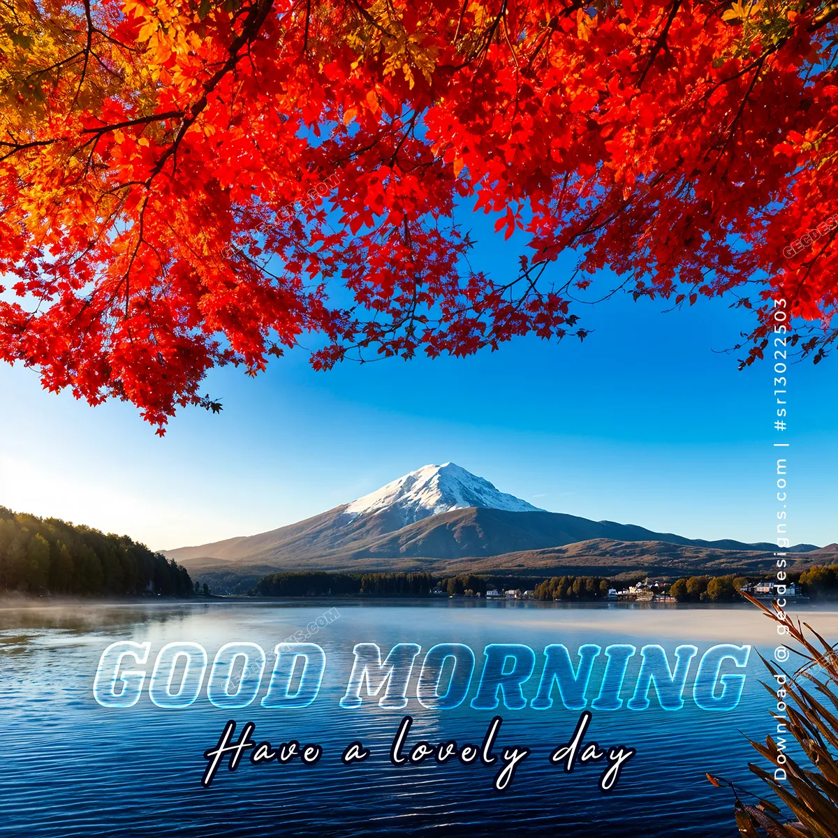 Download Free HD Good Morning Wallpapers images and Background images ...