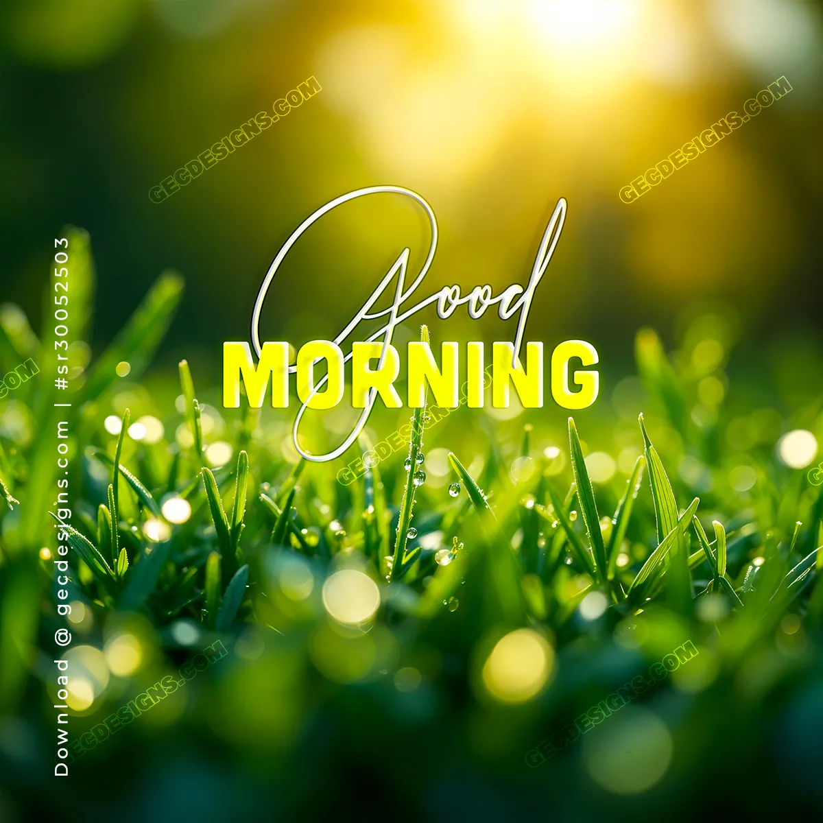 189+ Good Morning Images | Free Download - GEC Designs