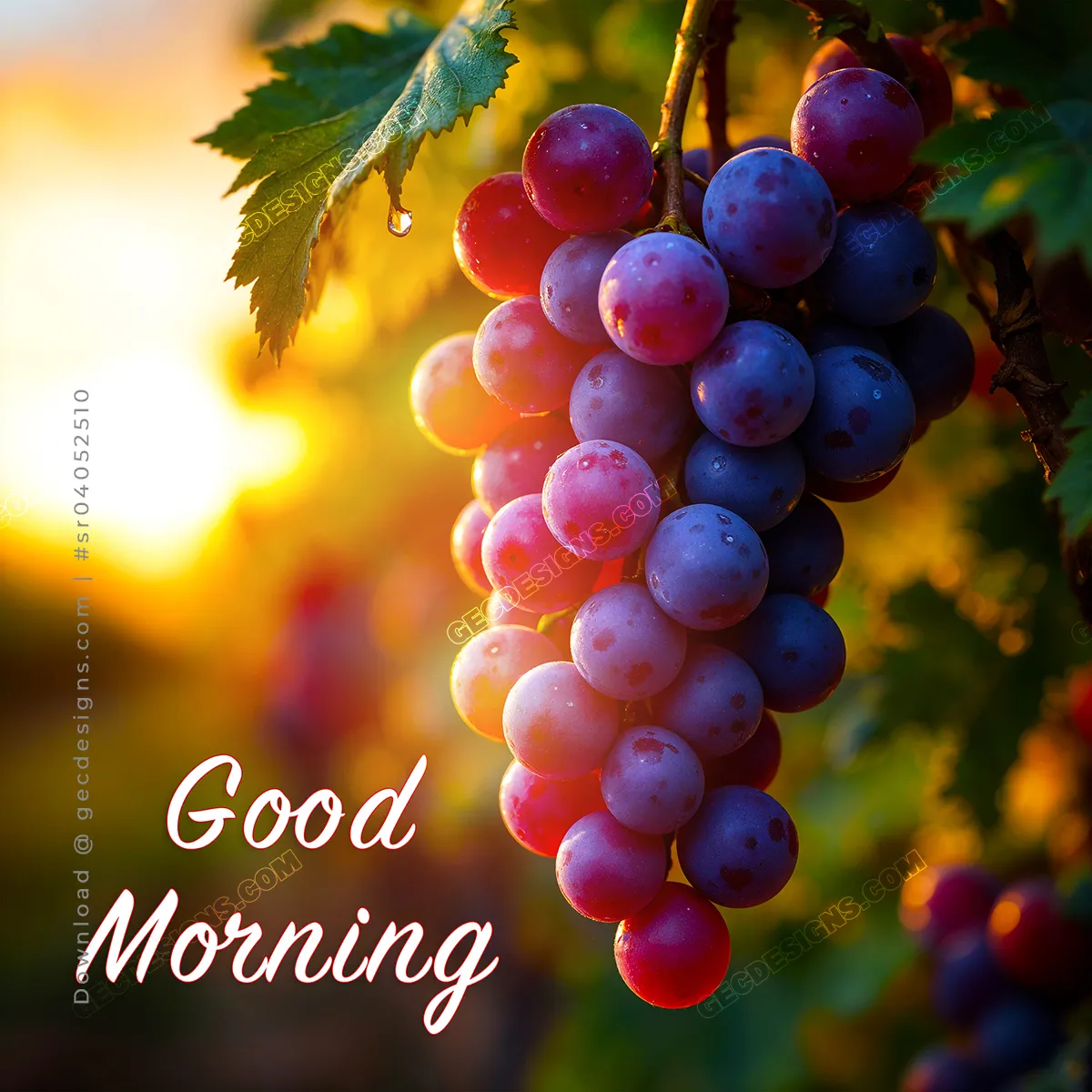 189+ Good Morning Images | Free Download - GEC Designs