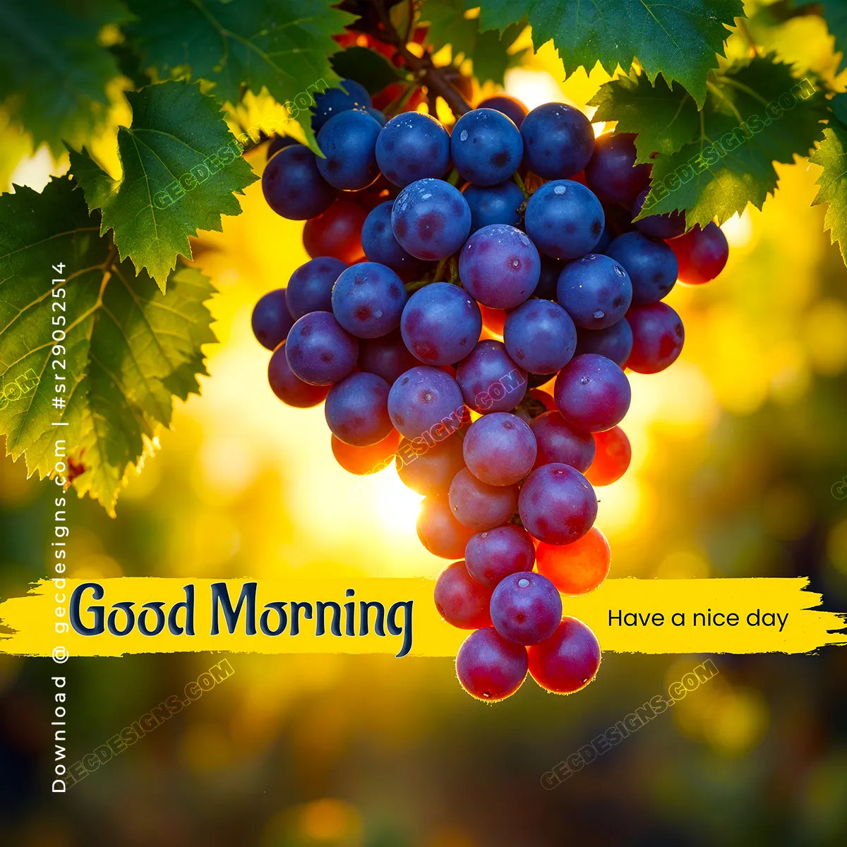 Wallpapers - GEC Designs