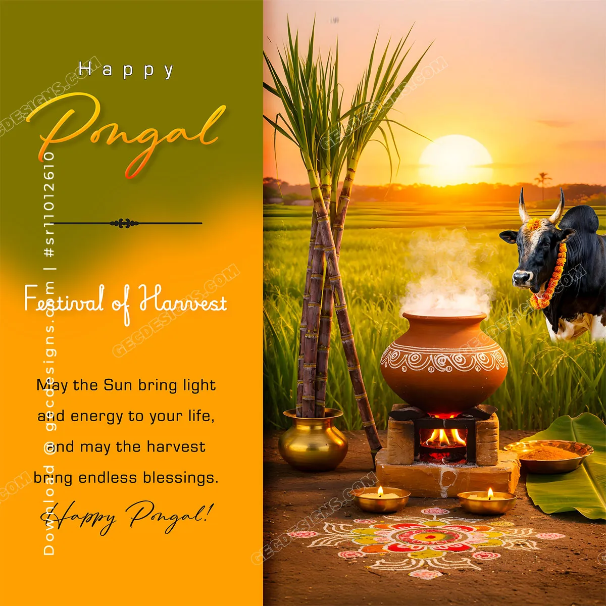 Happy Pongal Images - High-Resolution Wallpapers for All Screens | GEC ...