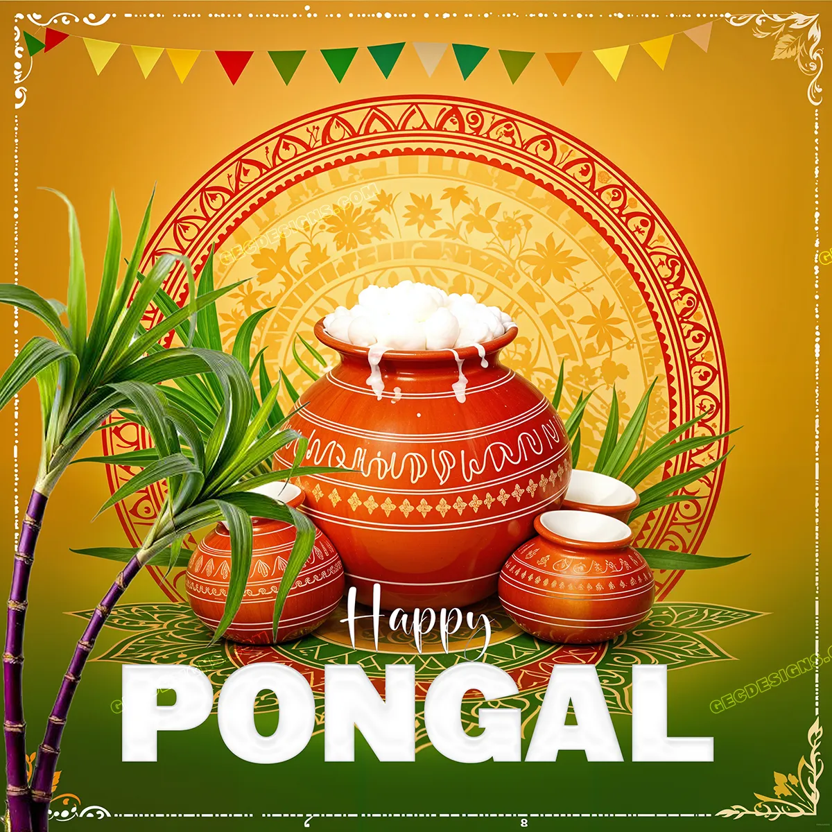 Happy Pongal wishes greetings South Indian harvest festival celebration ...