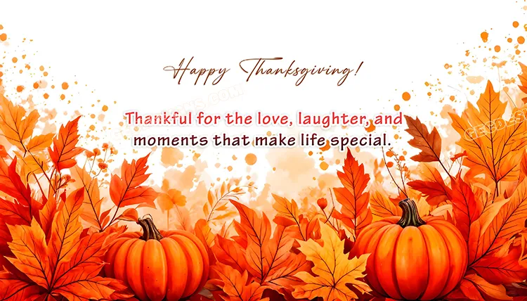 Joyeux Thanksgiving Backgrounds