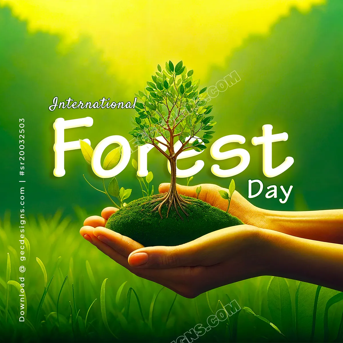 International Forest Day hand holding tree background image - GEC Designs