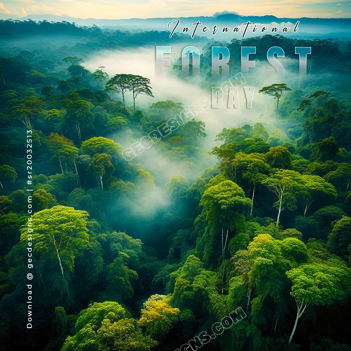 International Forest Day wishes Natural forest background - GEC Designs